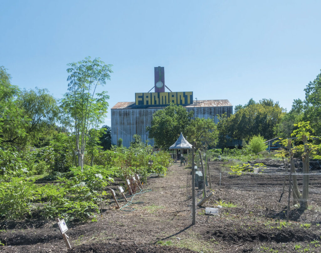 Farming in the Fifth Ward