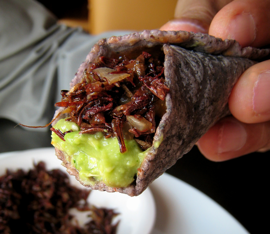 Chef Hugo Ortega's Chapulines Tacos
